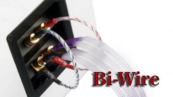 Đấu Bi-Wire là gì? Lợi ích từ việc kết nối Bi-Wire cho loa