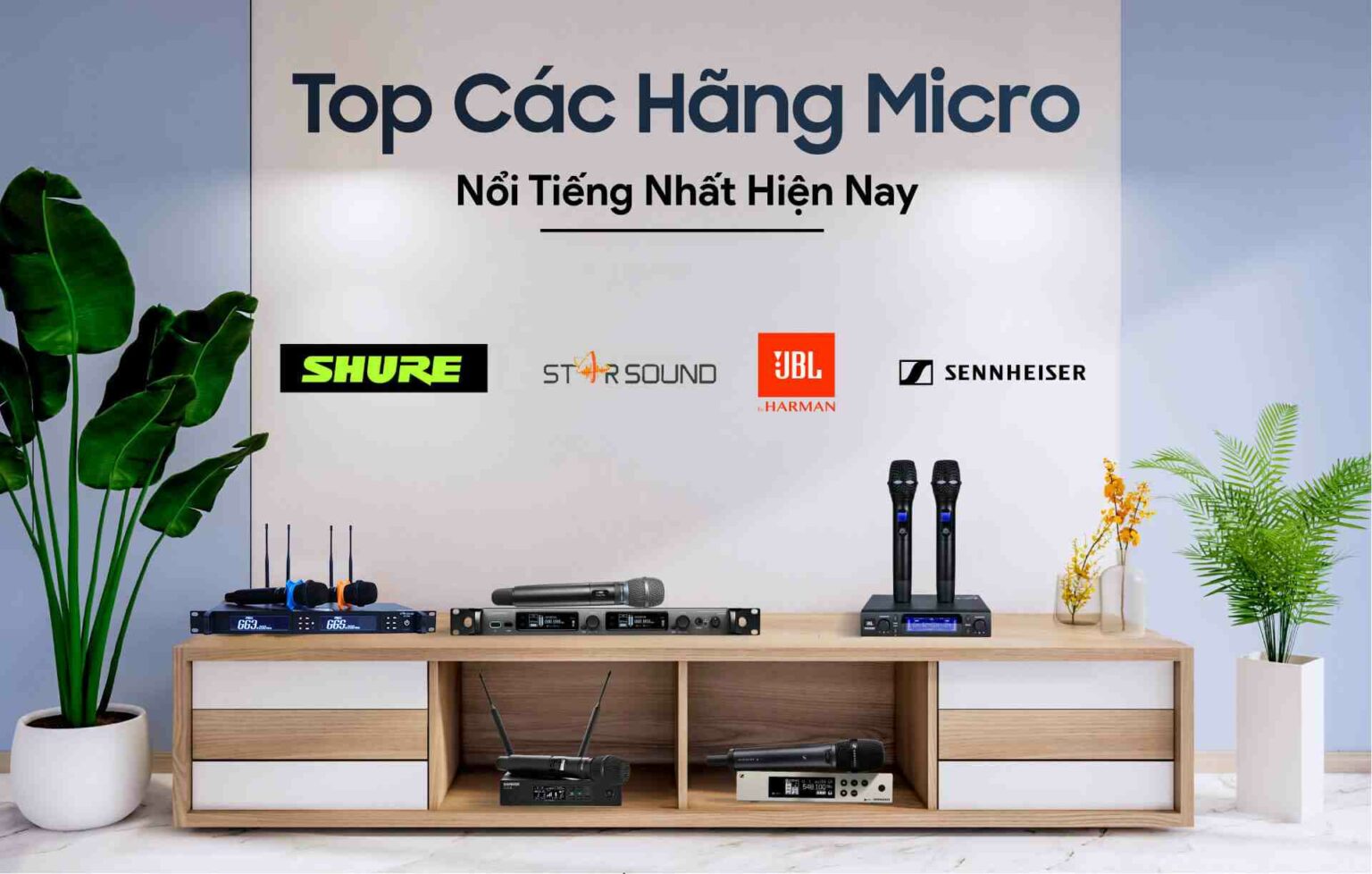 Pin micro không dây giá bao nhiêu tiền? Mua Pin sạc micro ở đâu tốt?